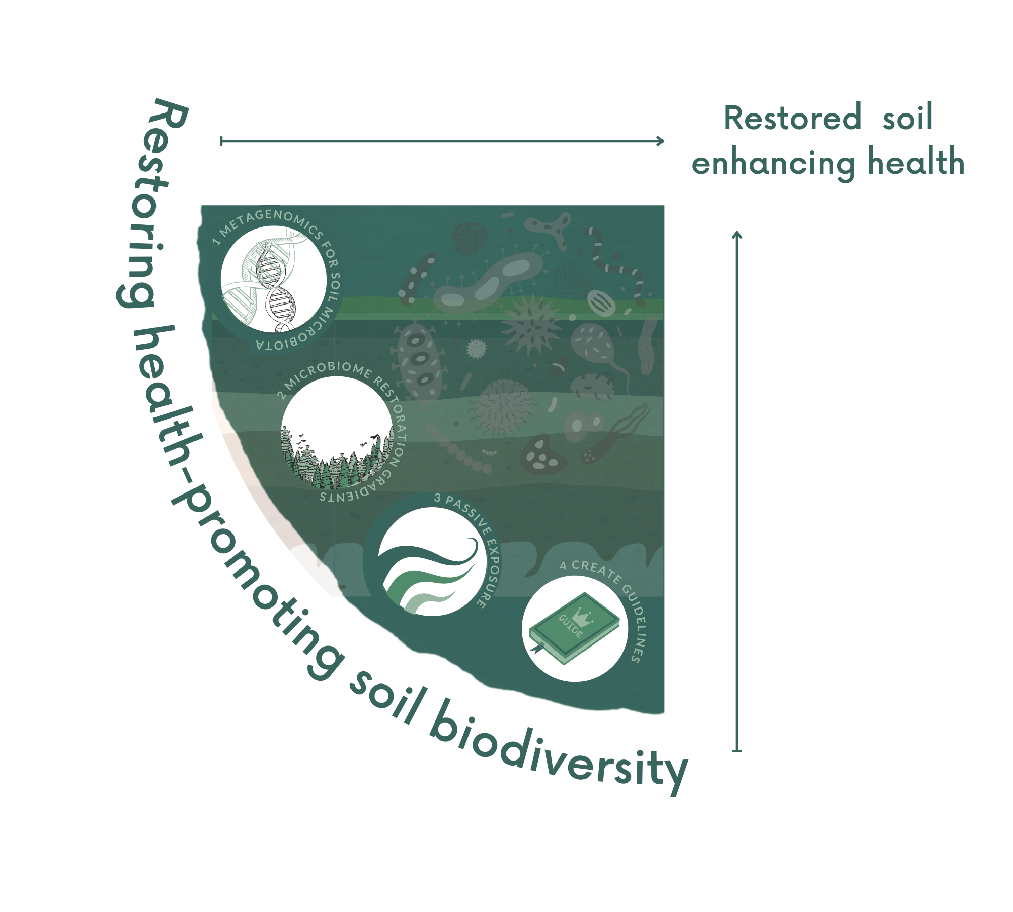 Restoring Health-Promoting Soil Biodiversity | Discover Soil Health Tips — People, Cities, Nature