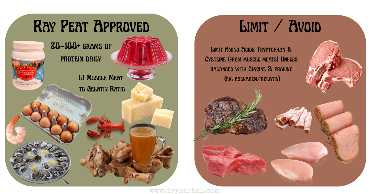 Ray Peat Diet: The Basics — Ivy Herbal