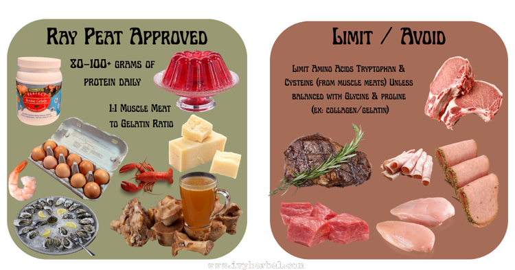 Ray Peat Diet: The Basics — Ivy Herbal