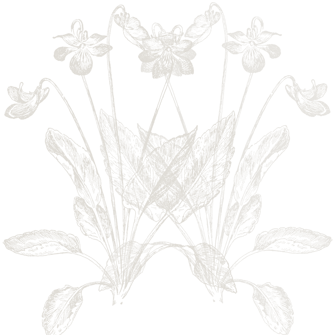 Homemade Gelatin Marshmallows Recipe — Ivy Ham Herbalist