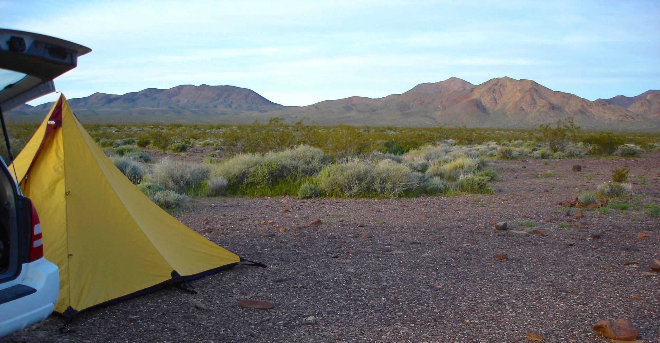 Chaparral (Larrea tridentata): Healing Properties of the Creosote Bush ...