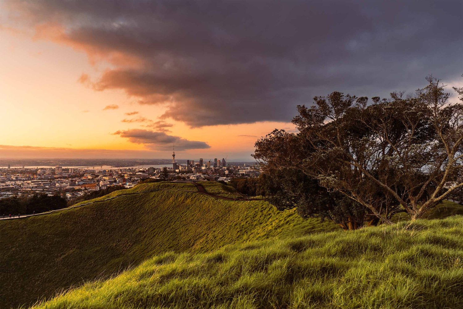 One Heart Auckland — Auckland Church Network