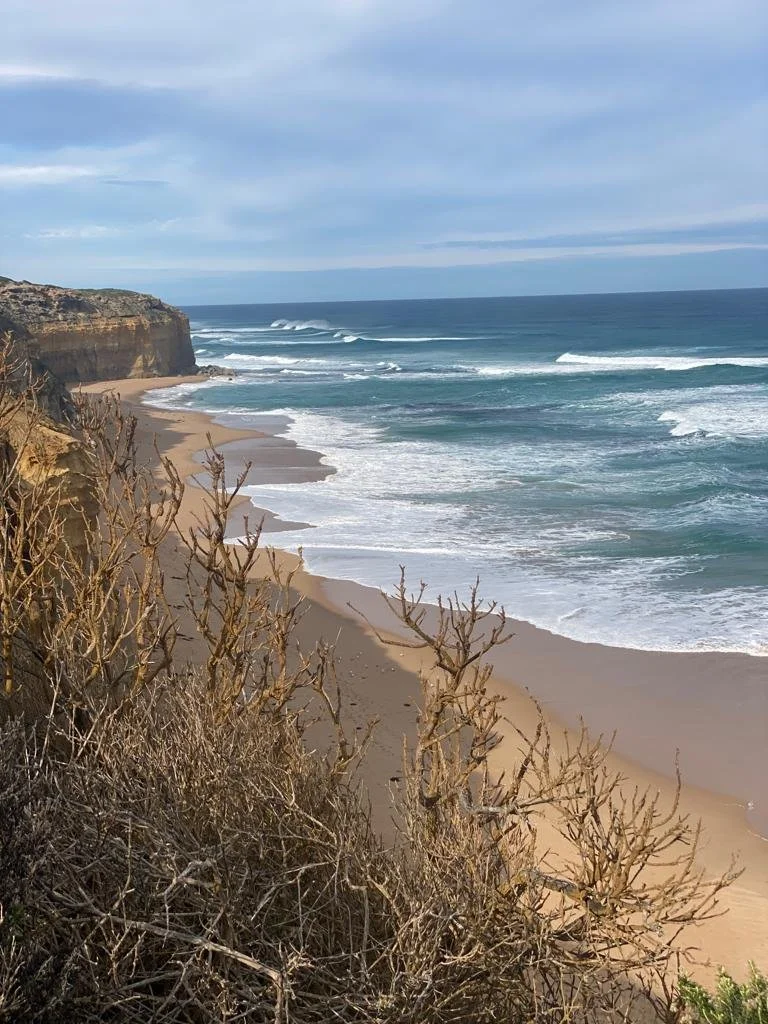 Services 2 — Abalone Victoria Central Zone (AVCZ)