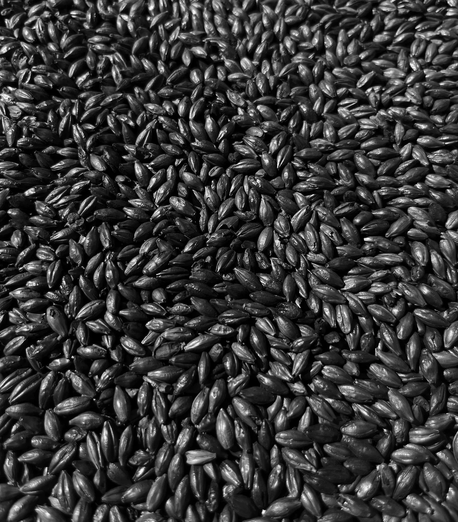 Our Malts — Amsat Character Malts