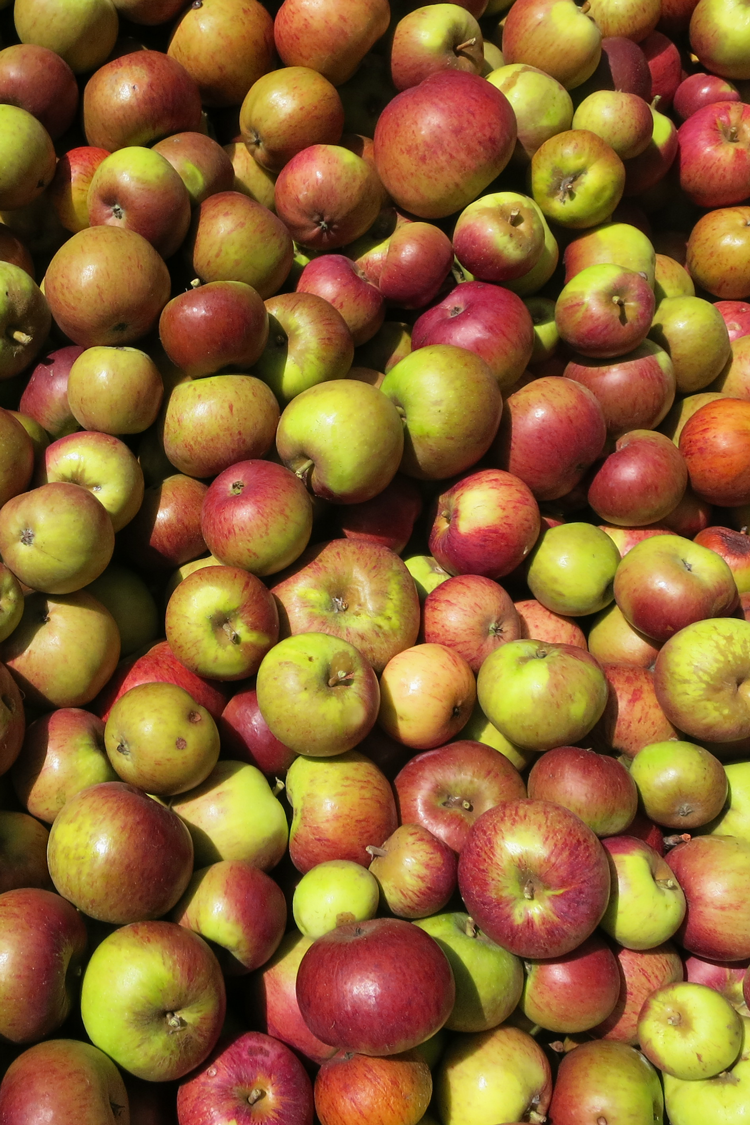 Denmark Heritage Cider CoDenmark Heritage Cider Co