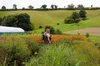 About — Baddaford Farm Collective