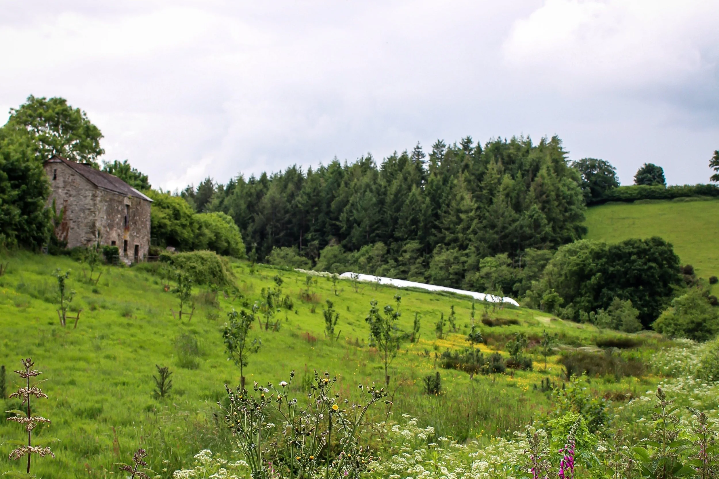 Land — Baddaford Farm Collective