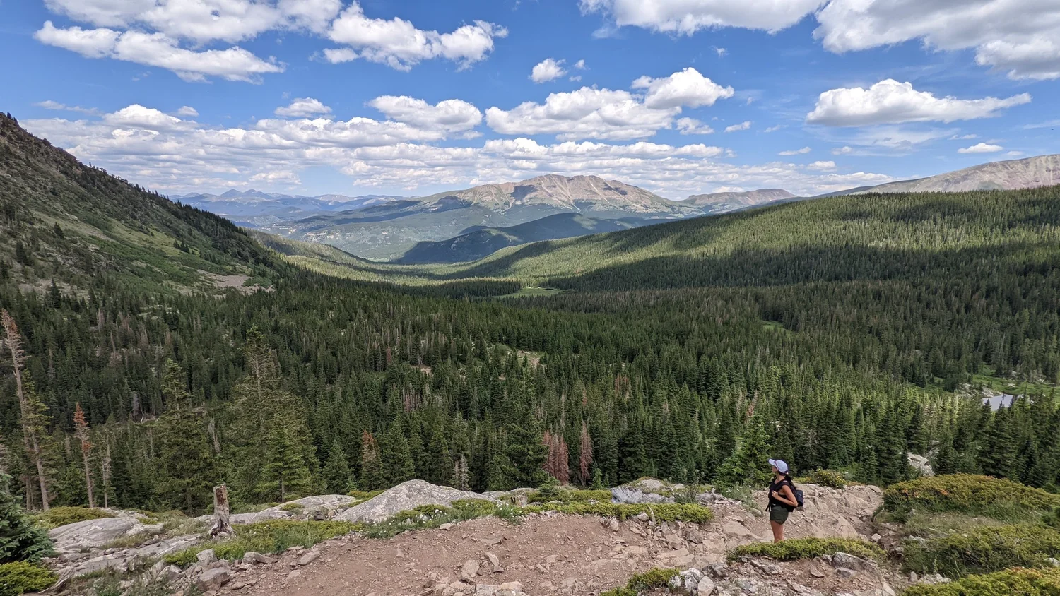 Danielle Minges | About Me | Raleigh, NC Counseling