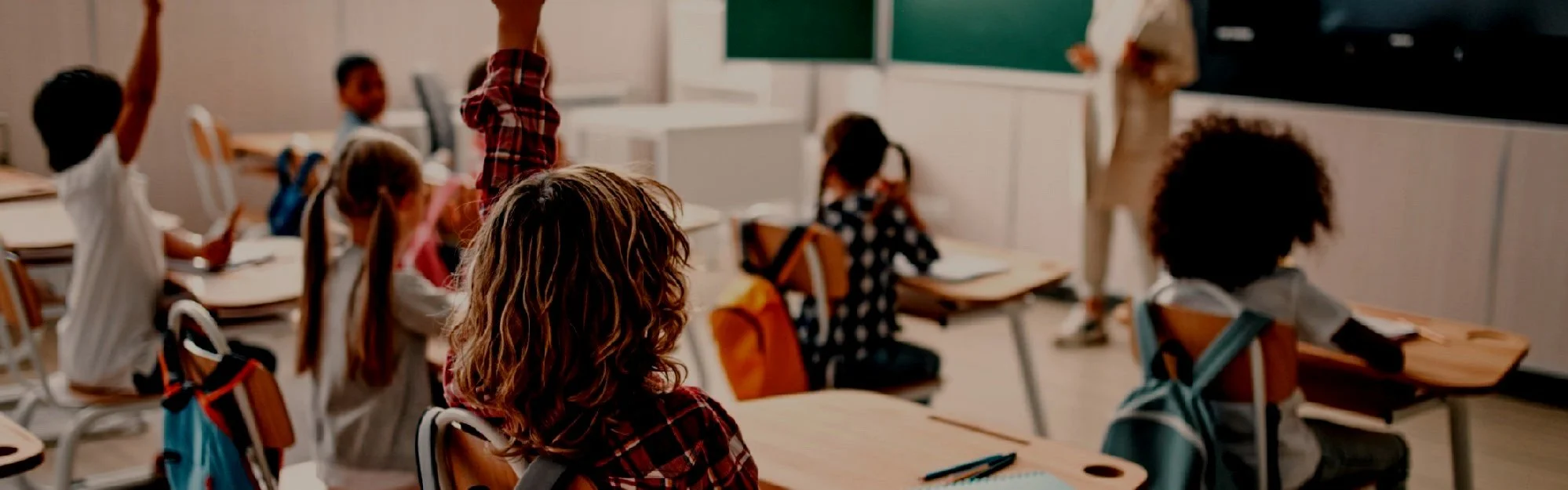 University Instructors