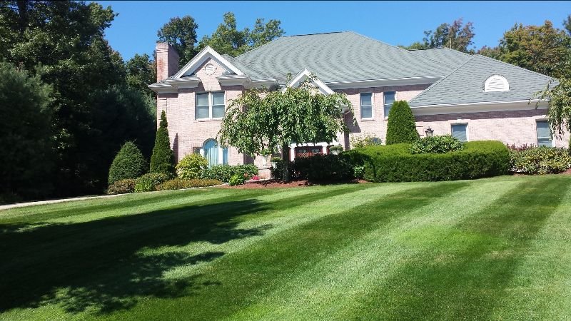 Integrated Pest Control in Newton and Westford, MA: Protecting Your ...