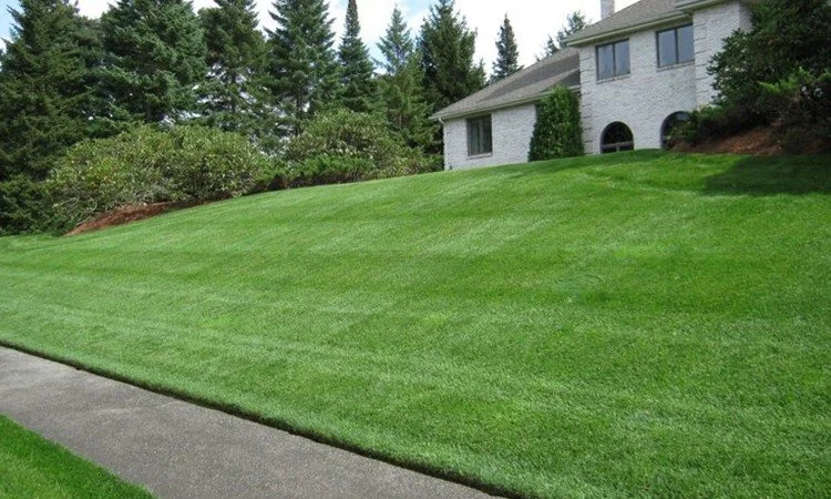 Rutland TurfPRO | Lawn Care Program in Rutland and Marlborough, MA ...