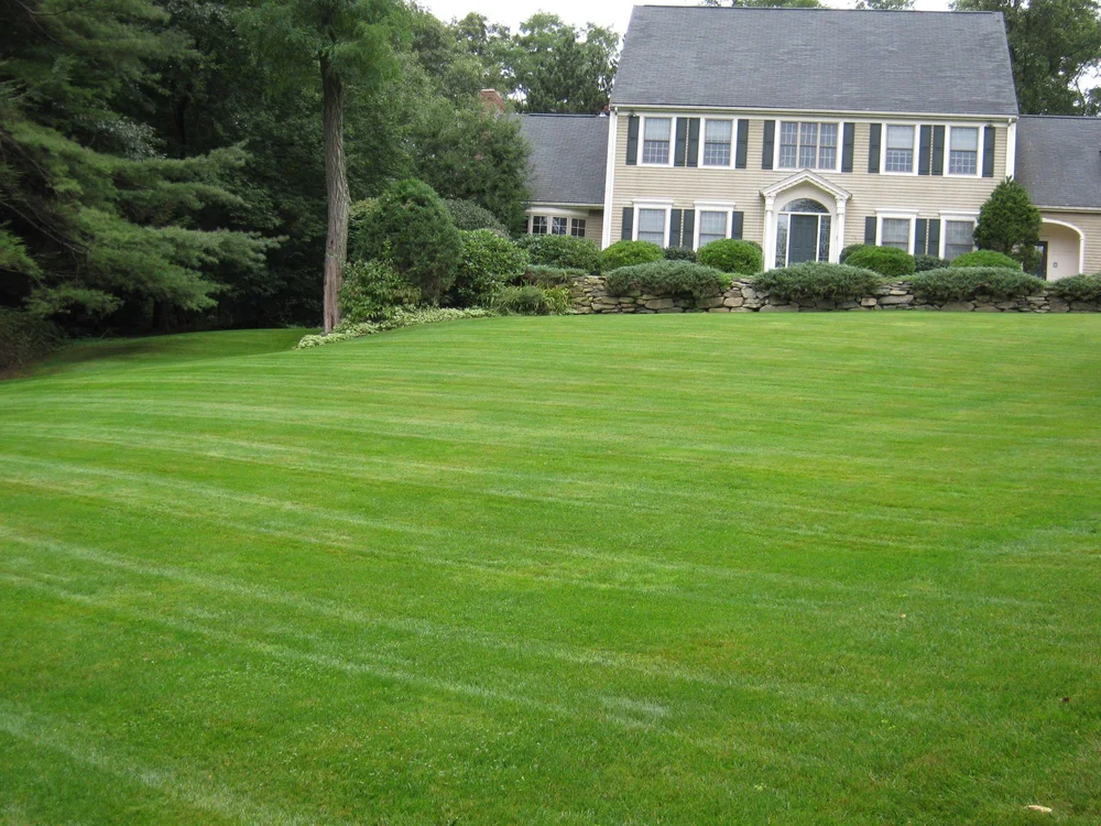 Careers | Lawn Care Jobs in Wellesley, Sudbury, Lexington, MA | Rutland Turfcare & Pest Control