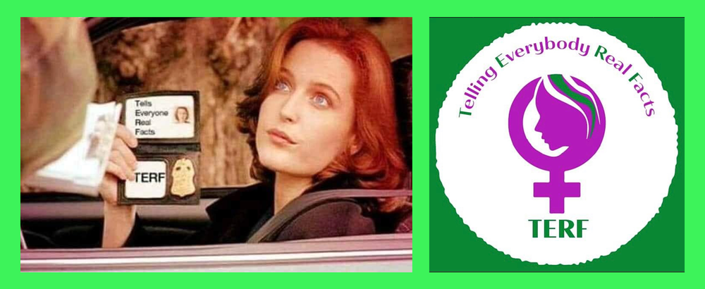 Définition : qu'est-ce qu'une "TERF" ? — FEMELLISTE.