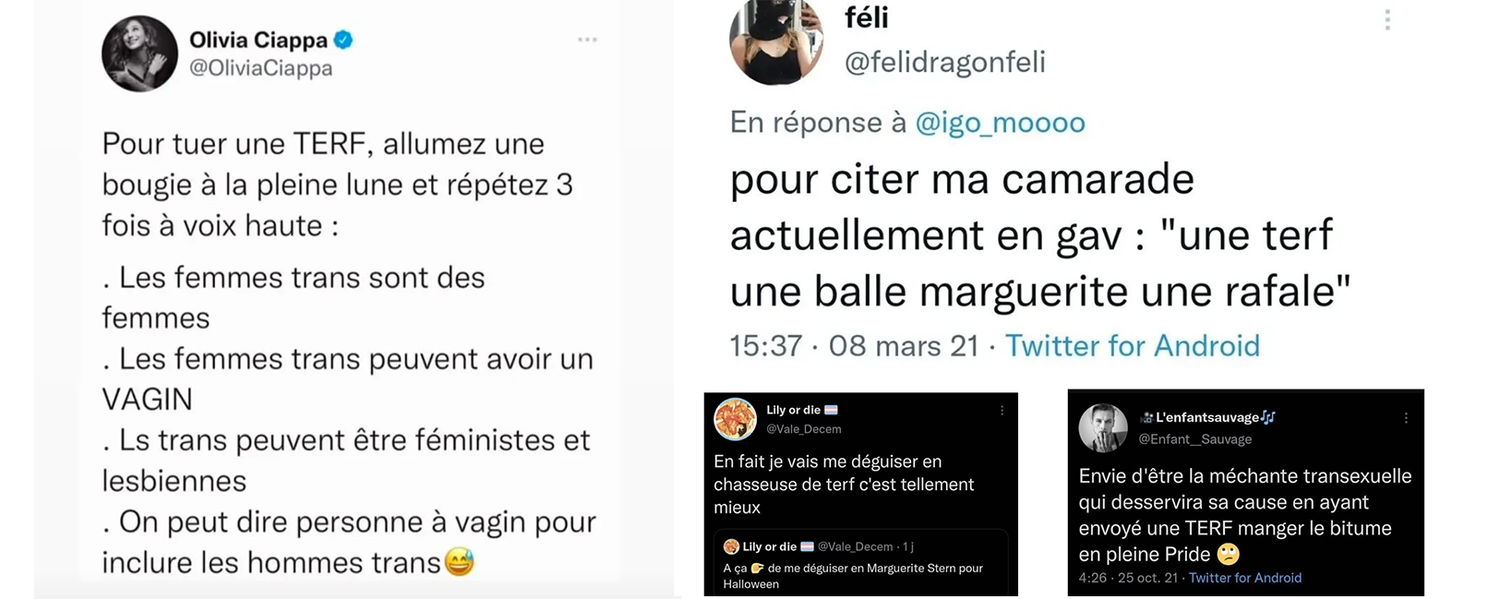 Définition : qu'est-ce qu'une "TERF" ? — FEMELLISTE.