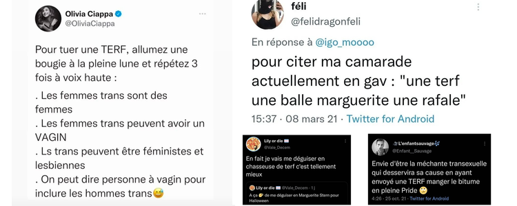 Définition : qu'est-ce qu'une "TERF" ? — FEMELLISTE.