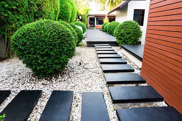 Top 5 Plants for Kansas City | Hermes Landscaping