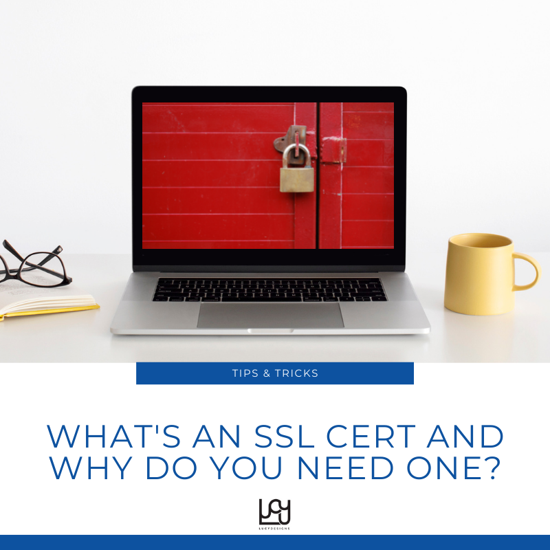 What's an SSL Cert and Why Do You Need One — Designs for Growth