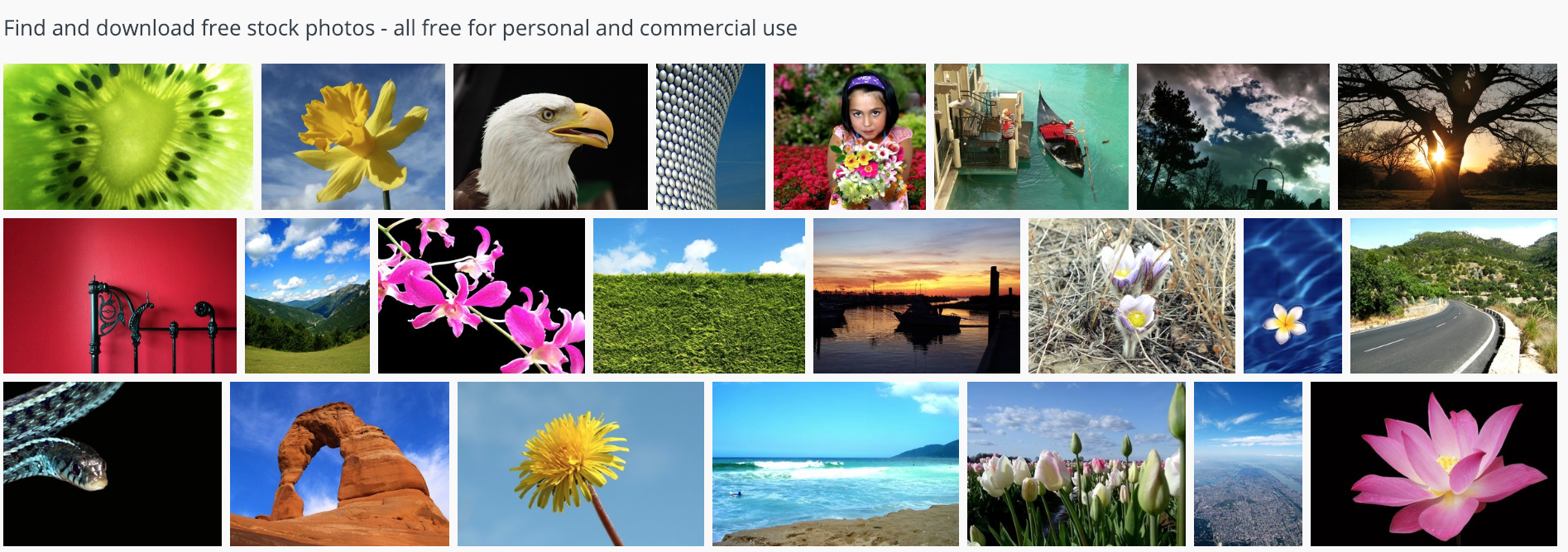 5 Sites for Choosing Free Images for Your Website — Designs for Growth