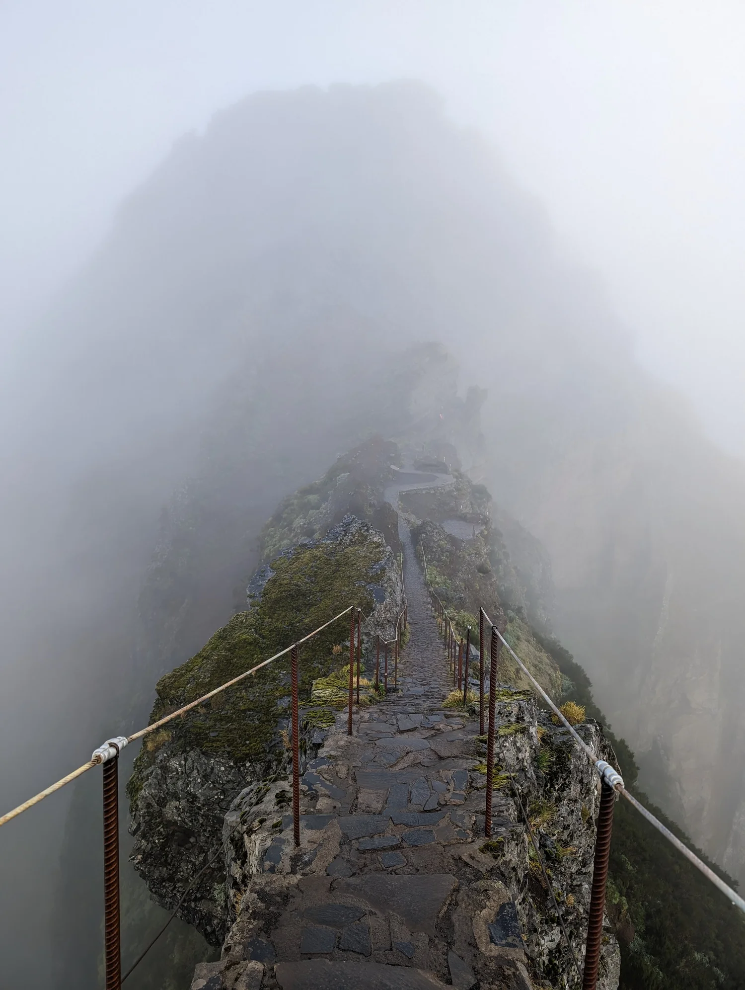 Madeira Travel Guide: Hiker’s Paradise — vitamin.vino