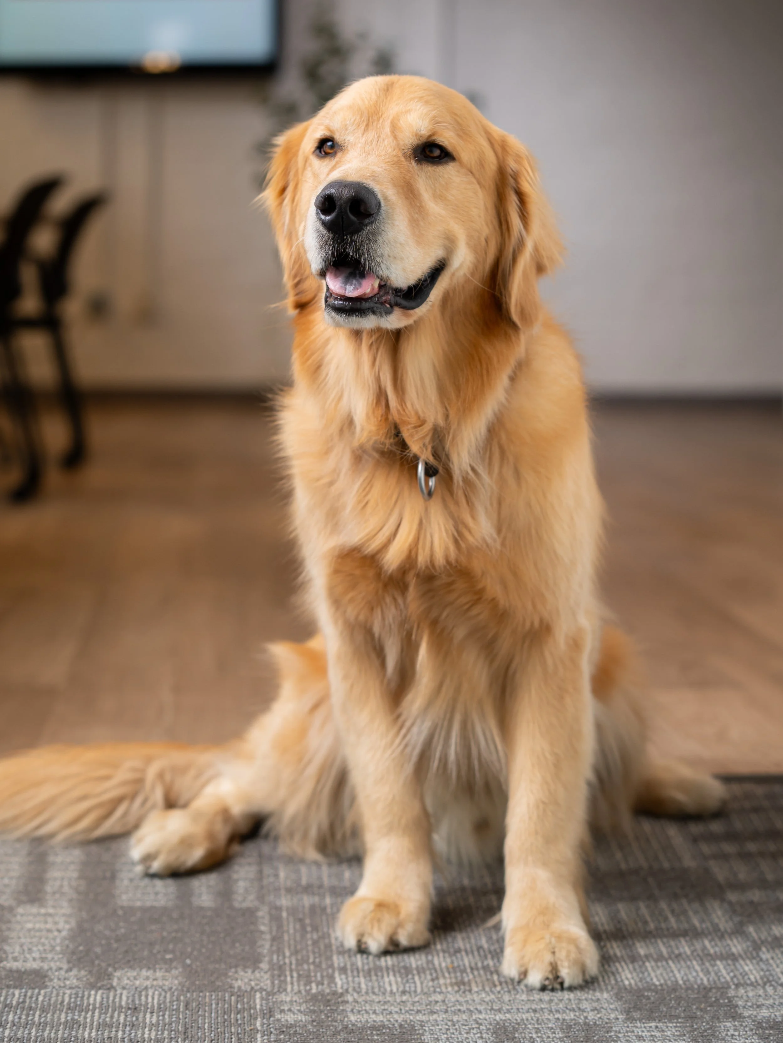 About — LLI Engineering