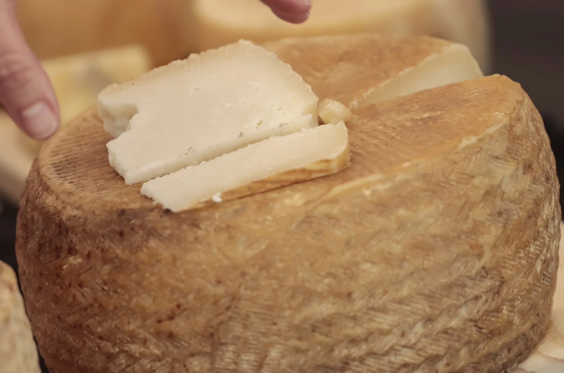 Boletos — Viva El Queso