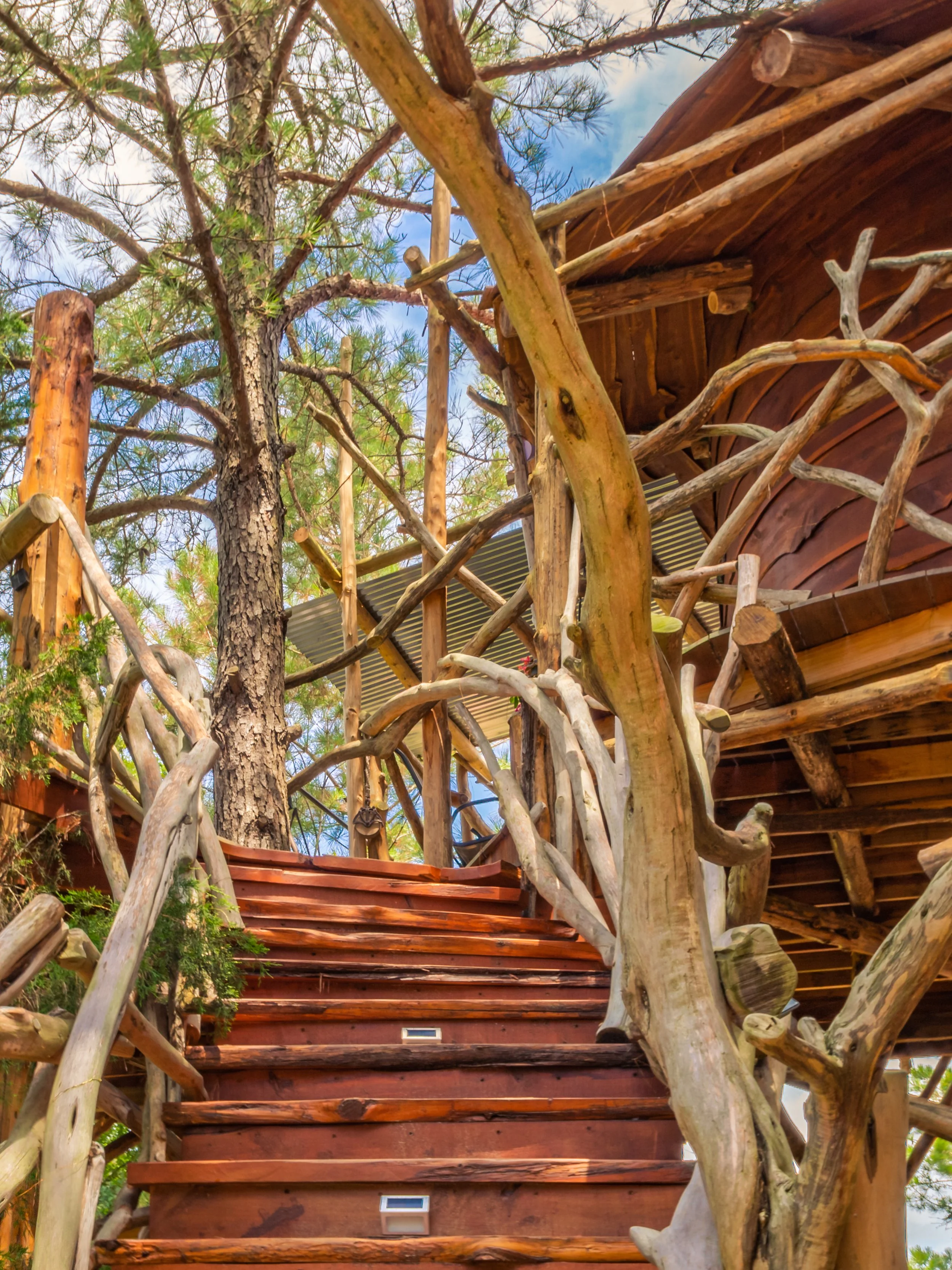 The Hobbit's Nest Treehouse — The Lost Pines Shire