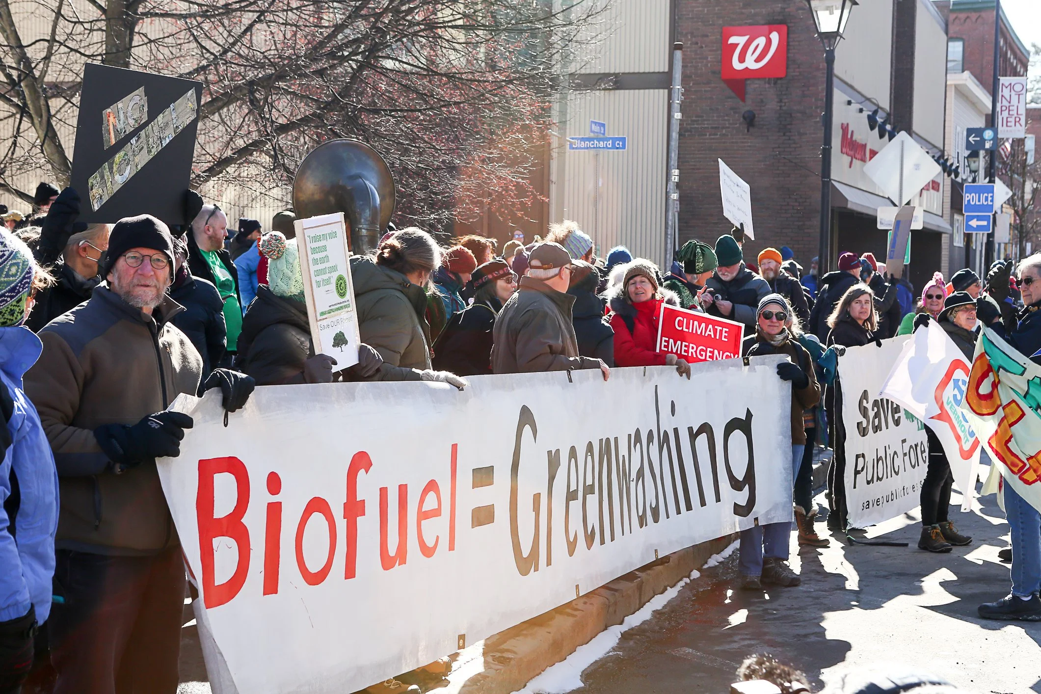 Destroying Forests and Polluting Communities in the Name of Climate ...