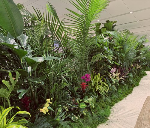 NYC Event Plant Rentals + Floral Design — Variegated NYC
