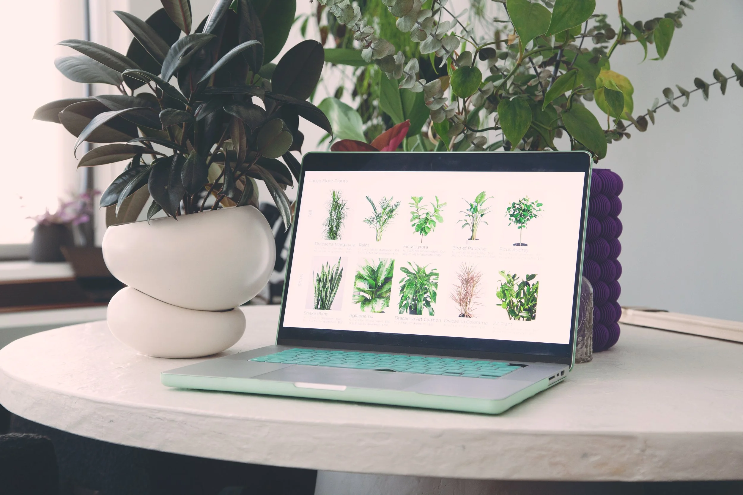 NYC Event Plant Rentals + Floral Design — Variegated NYC