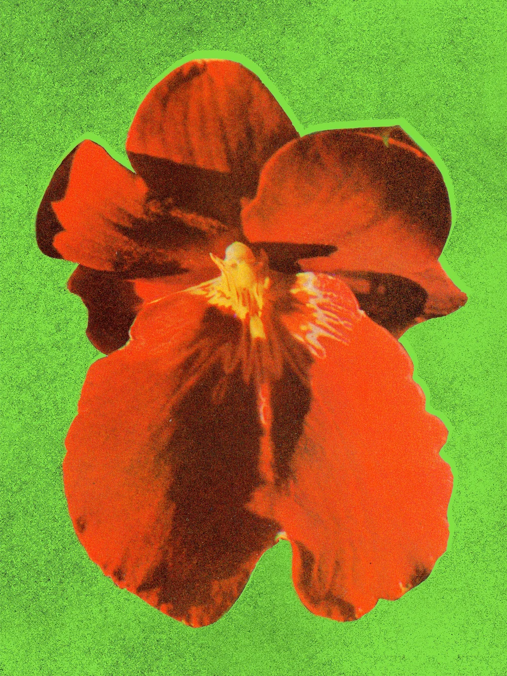 About — Anna Solis