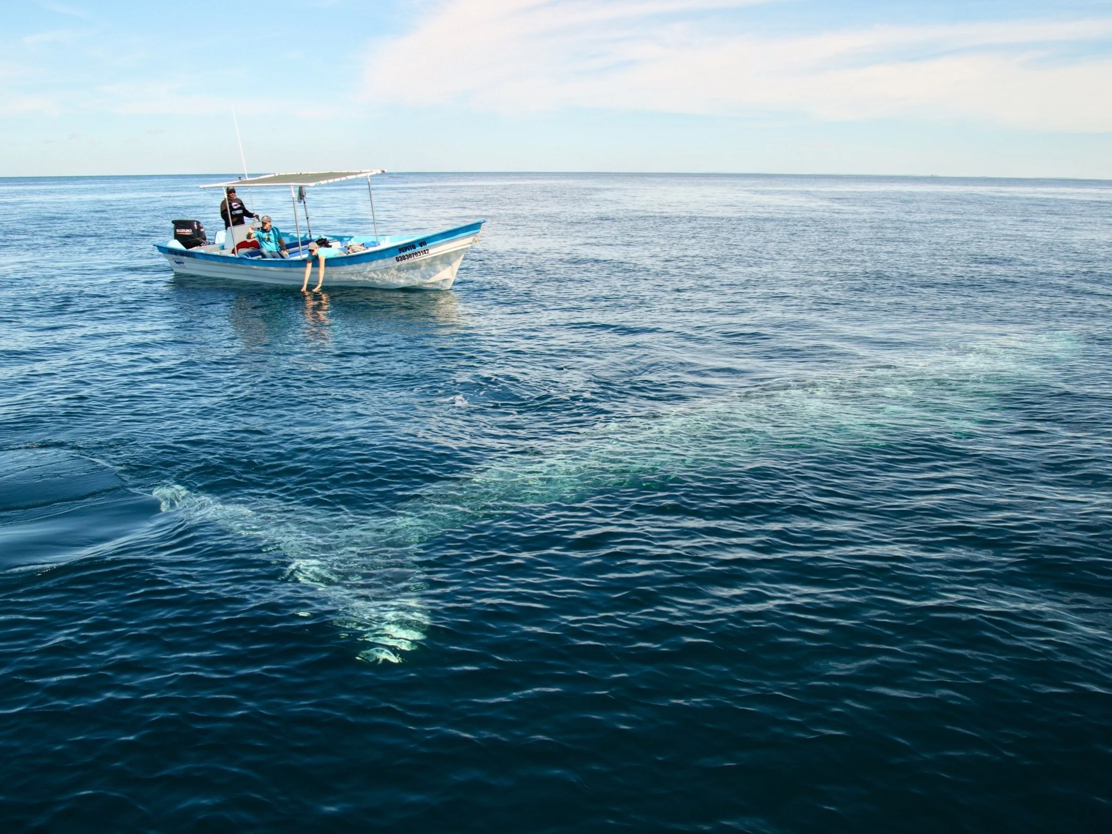 Akampa | Descubre experiencias de camping en México
