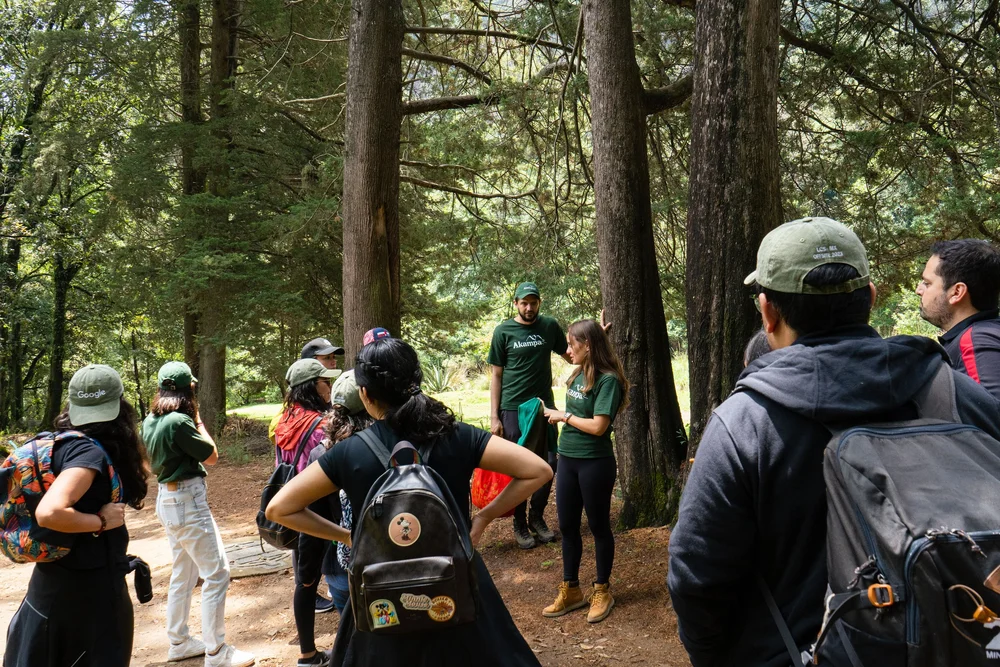 Experiencias de Team Building — Akampa