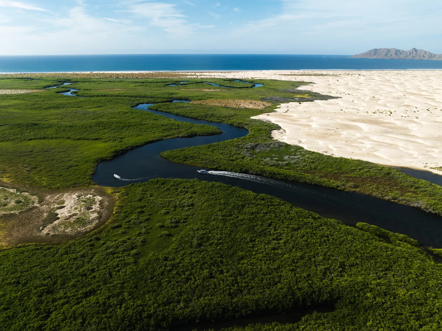Bahía Magdalena: Ocean Safari — Akampa