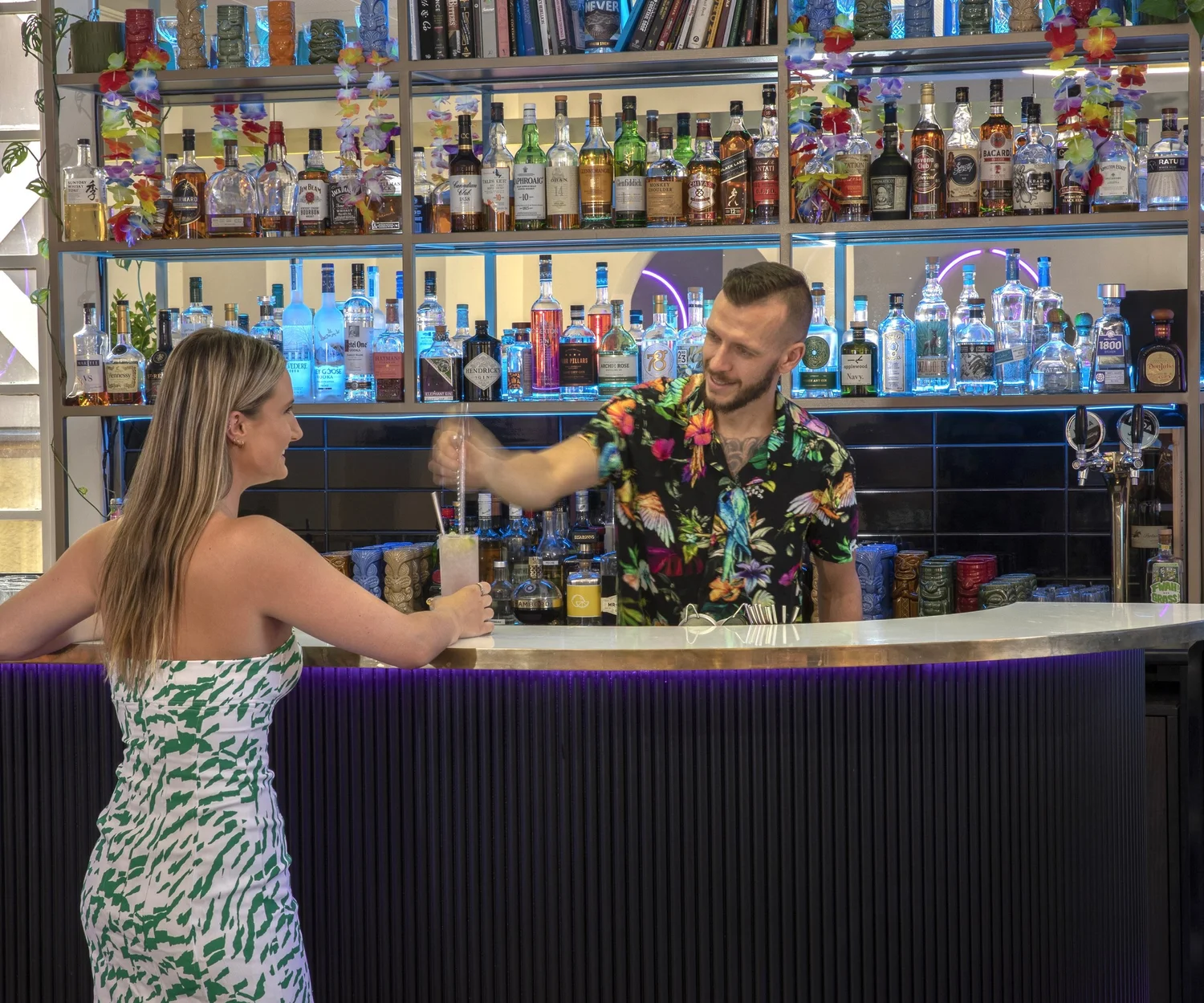 High Spirits Bar — Sarah McInerney