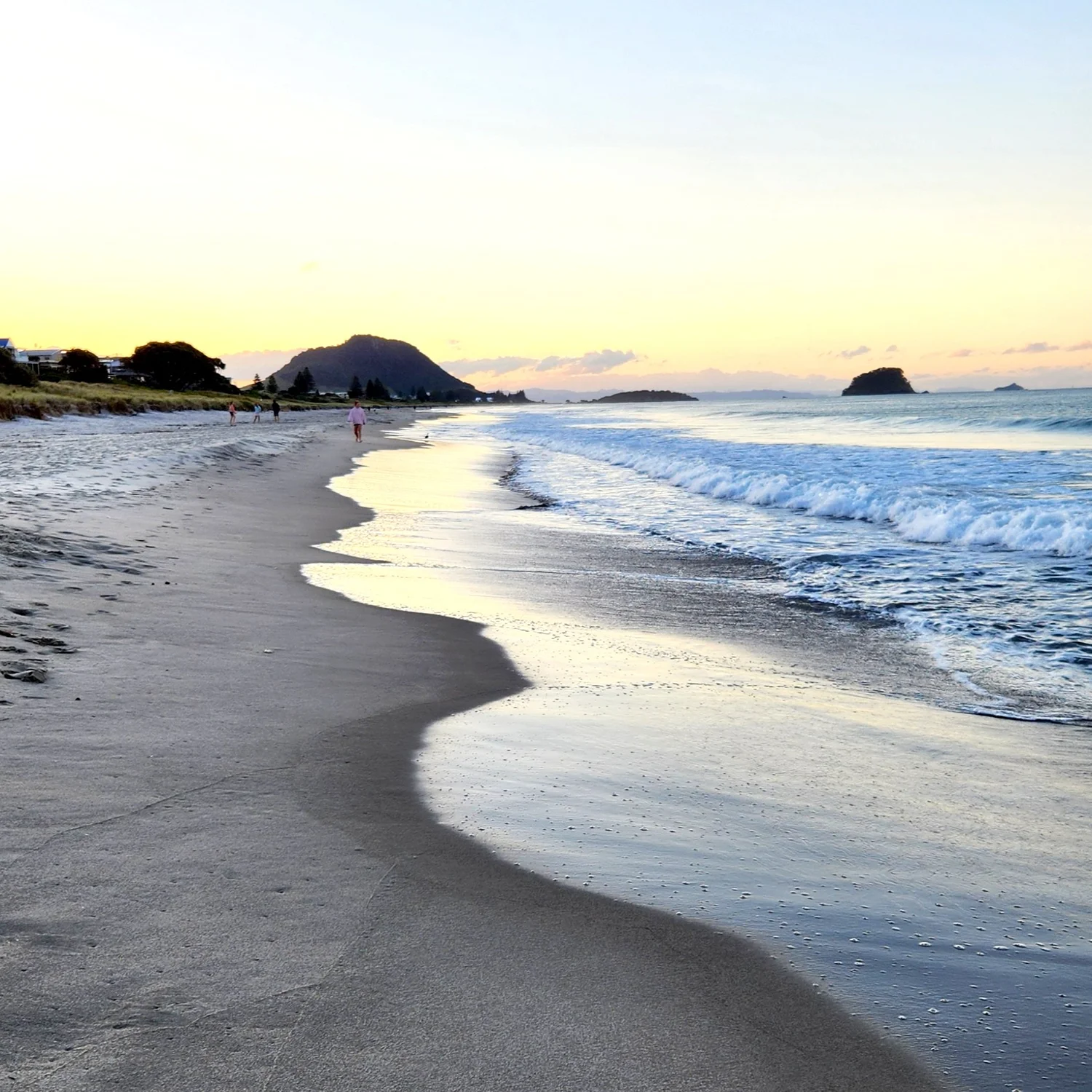 Love Literacy Mount Maunganui is a Reading, Writing, and Spelling Tutor.