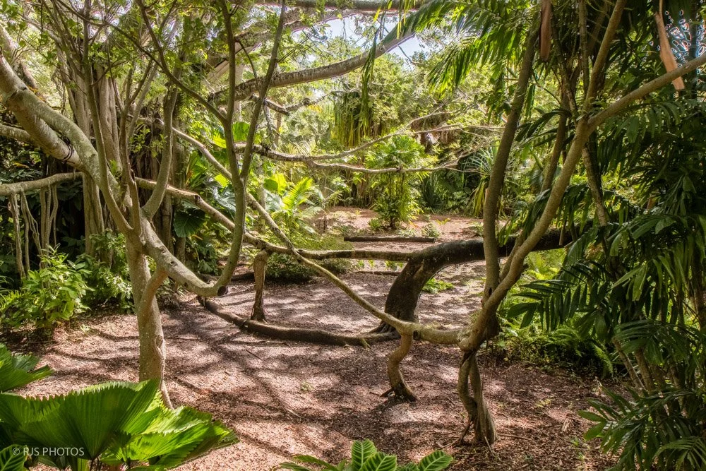 Request A Park Tour — Tree Zoo