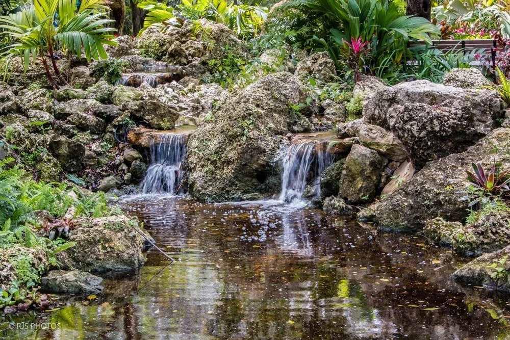 Our Gardens — Tree Zoo