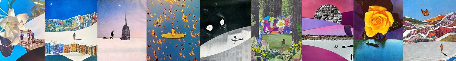 Connor "Phib" Dainty