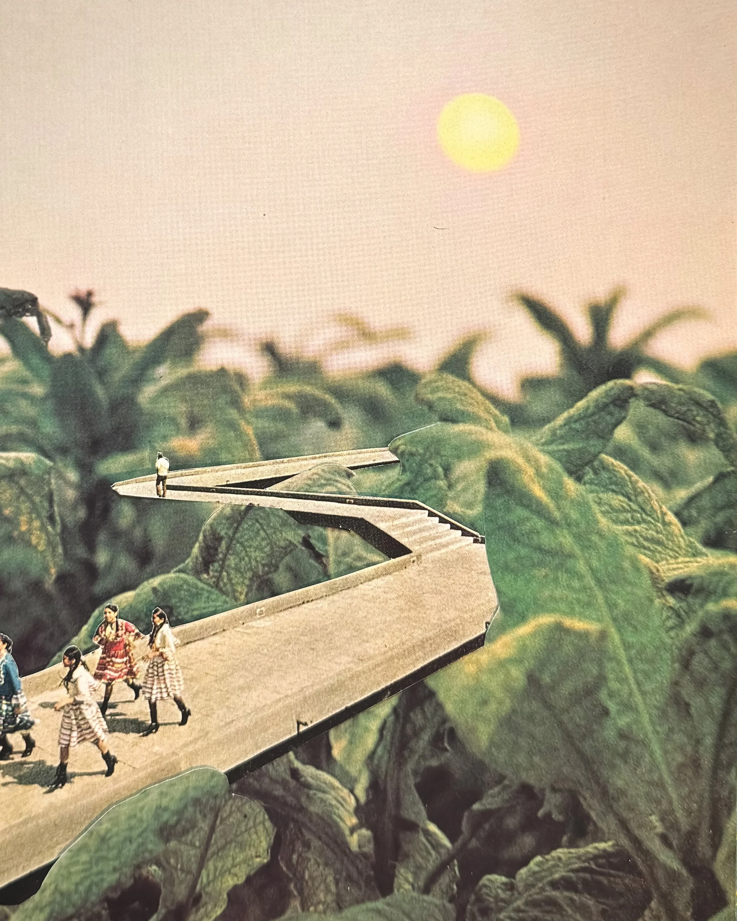 Connor "Phib" Dainty