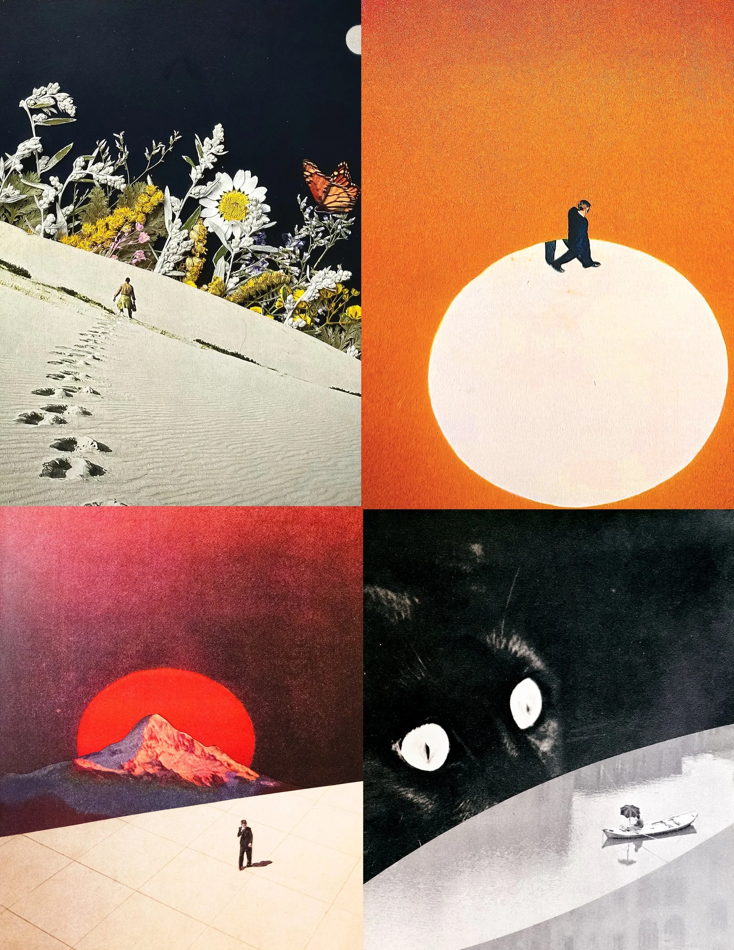 Connor "Phib" Dainty