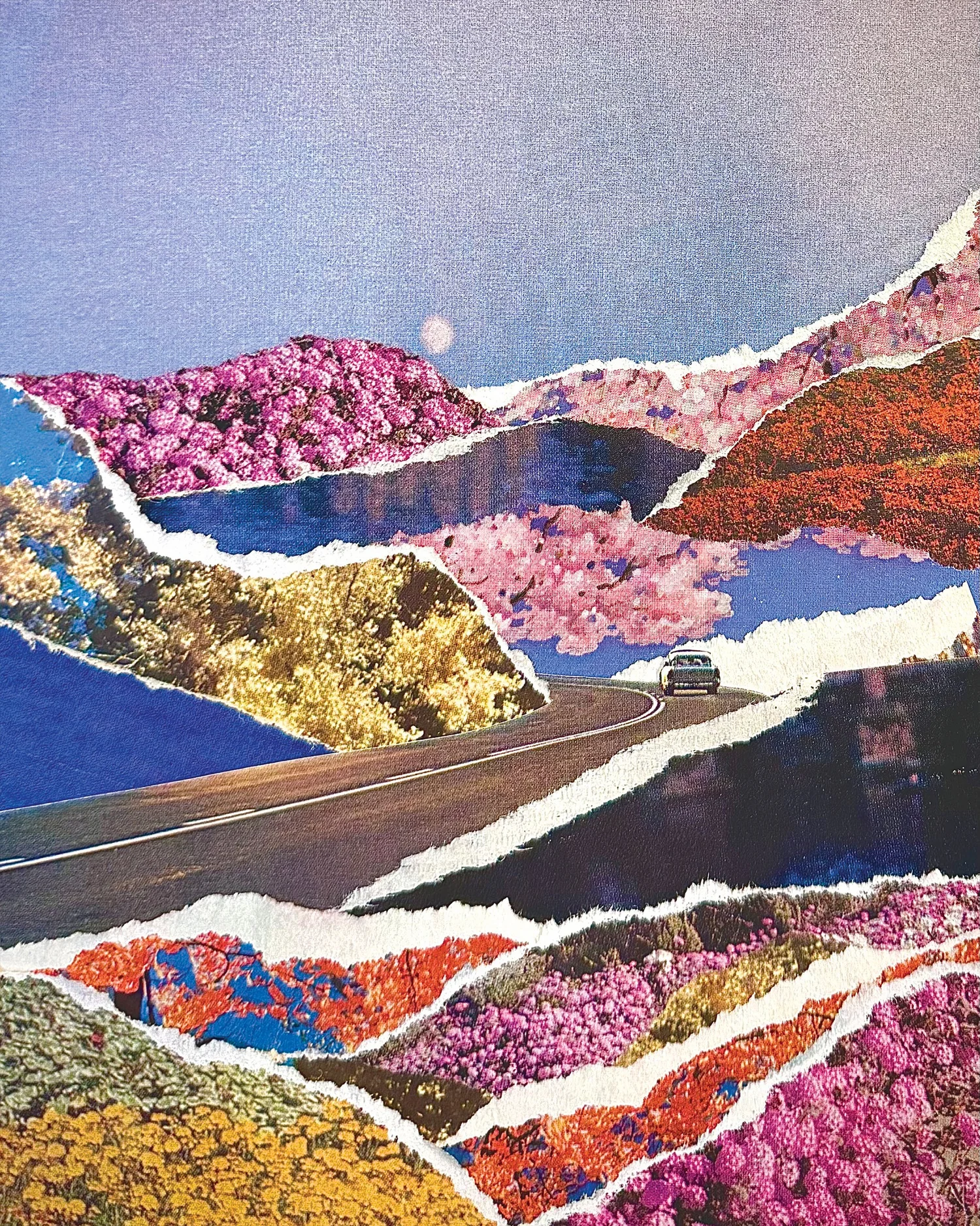 Connor "Phib" Dainty