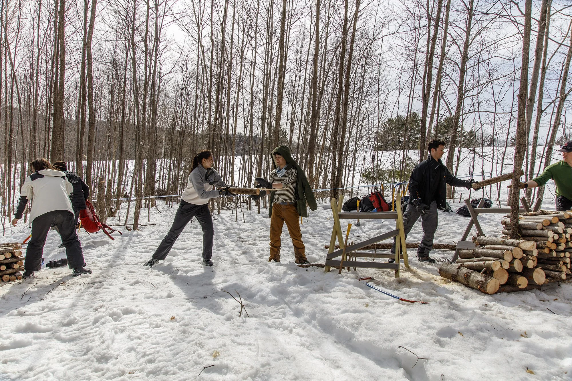 The Mountain School