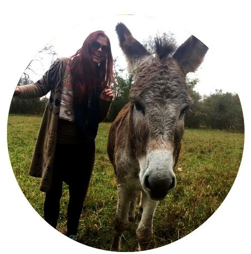 Our Staff — Sunflower Farm - Nature, Animals, Kids and Music