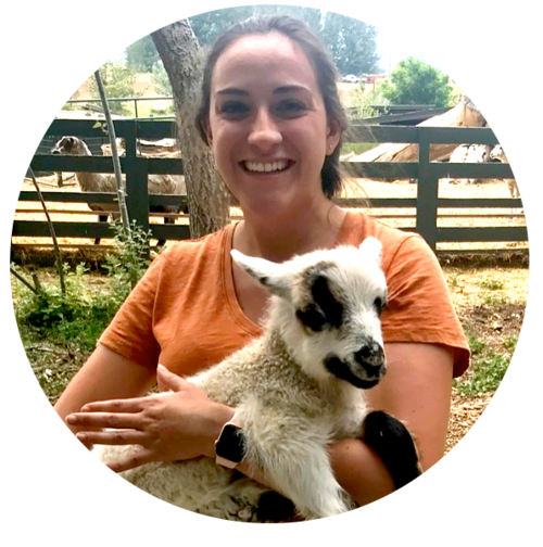 Our Staff — Sunflower Farm - Nature, Animals, Kids and Music