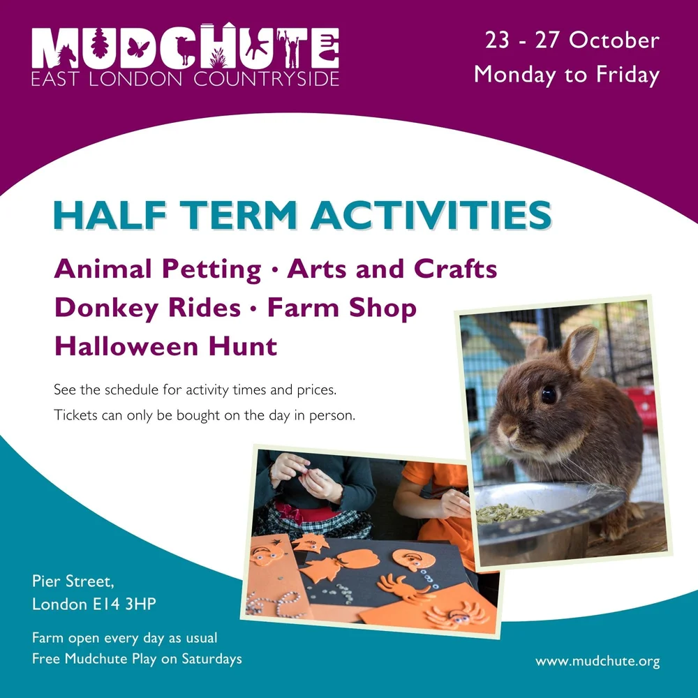October Half Term Activities | Mudchute Park and Farm