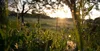 Plan Your Visit | Mudchute Park and Farm