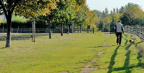 About Us | Mudchute Park and Farm