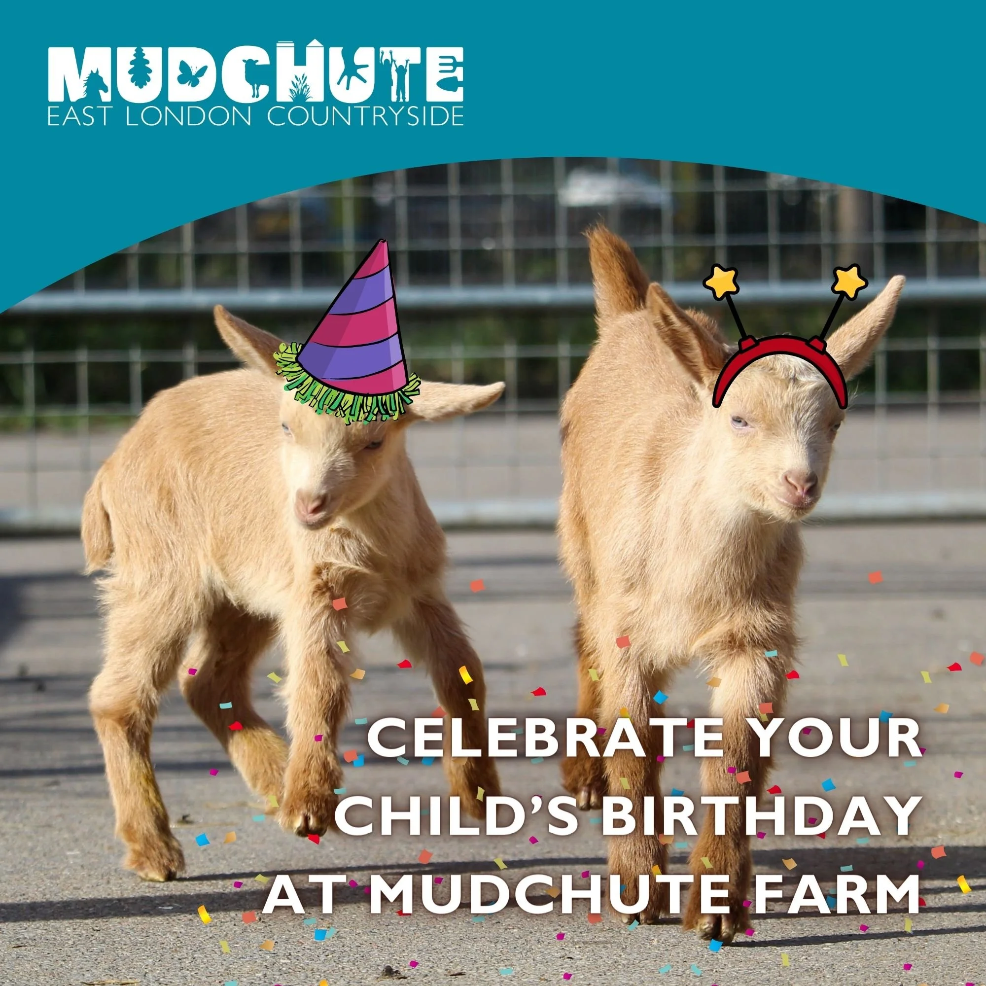 Children’s Birthday Parties at Mudchute | Mudchute Park and Farm