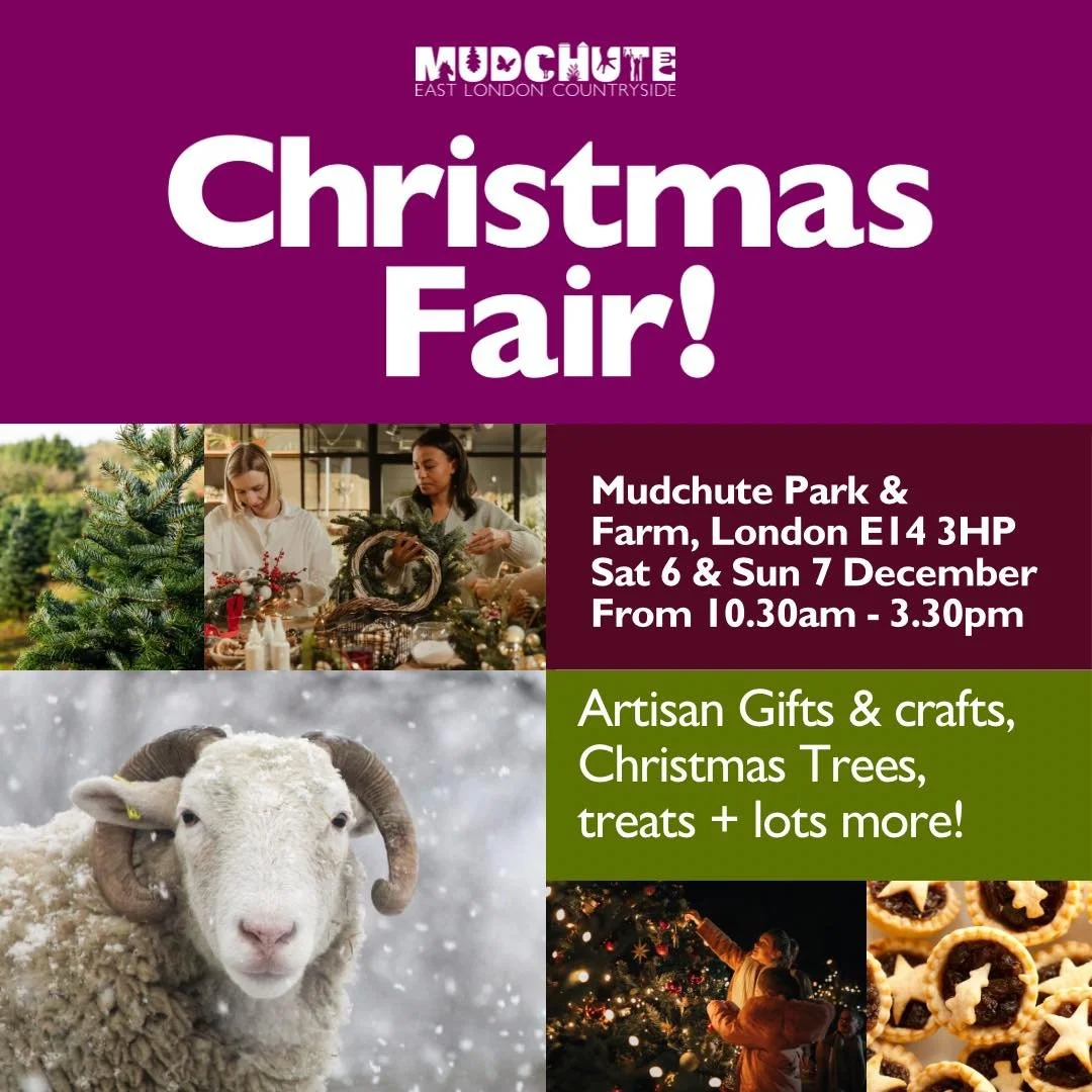 Christmas Fair | Mudchute Park and Farm