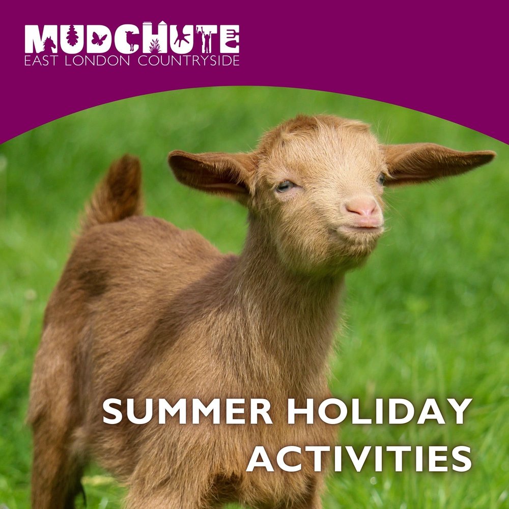 Mudchute Park and Farm